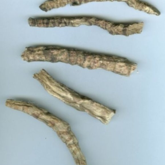 Other | Northern Plains Bitter Root | Poshmark